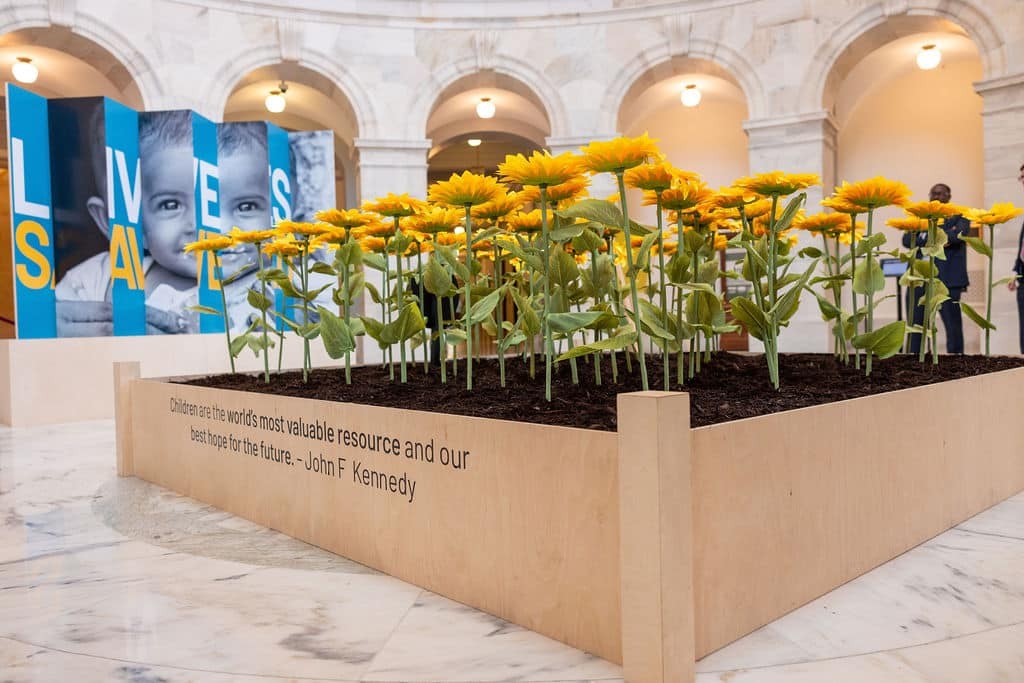 Eleanor Crook Foundation | A Sunflower Garden in the Russell Rotunda:…