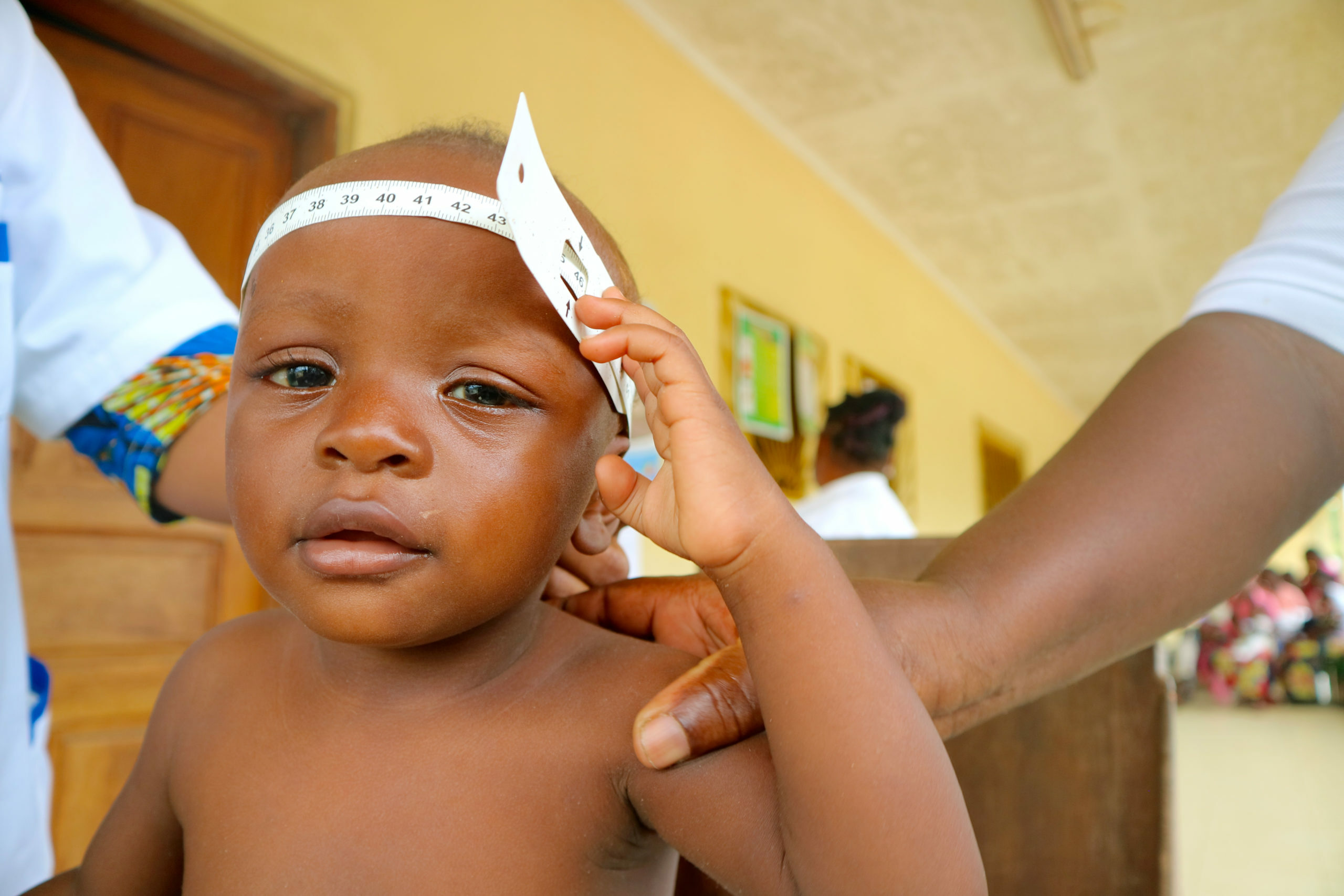 Eleanor Crook Foundation | ECF Joins Partners in Urging UN Action on…