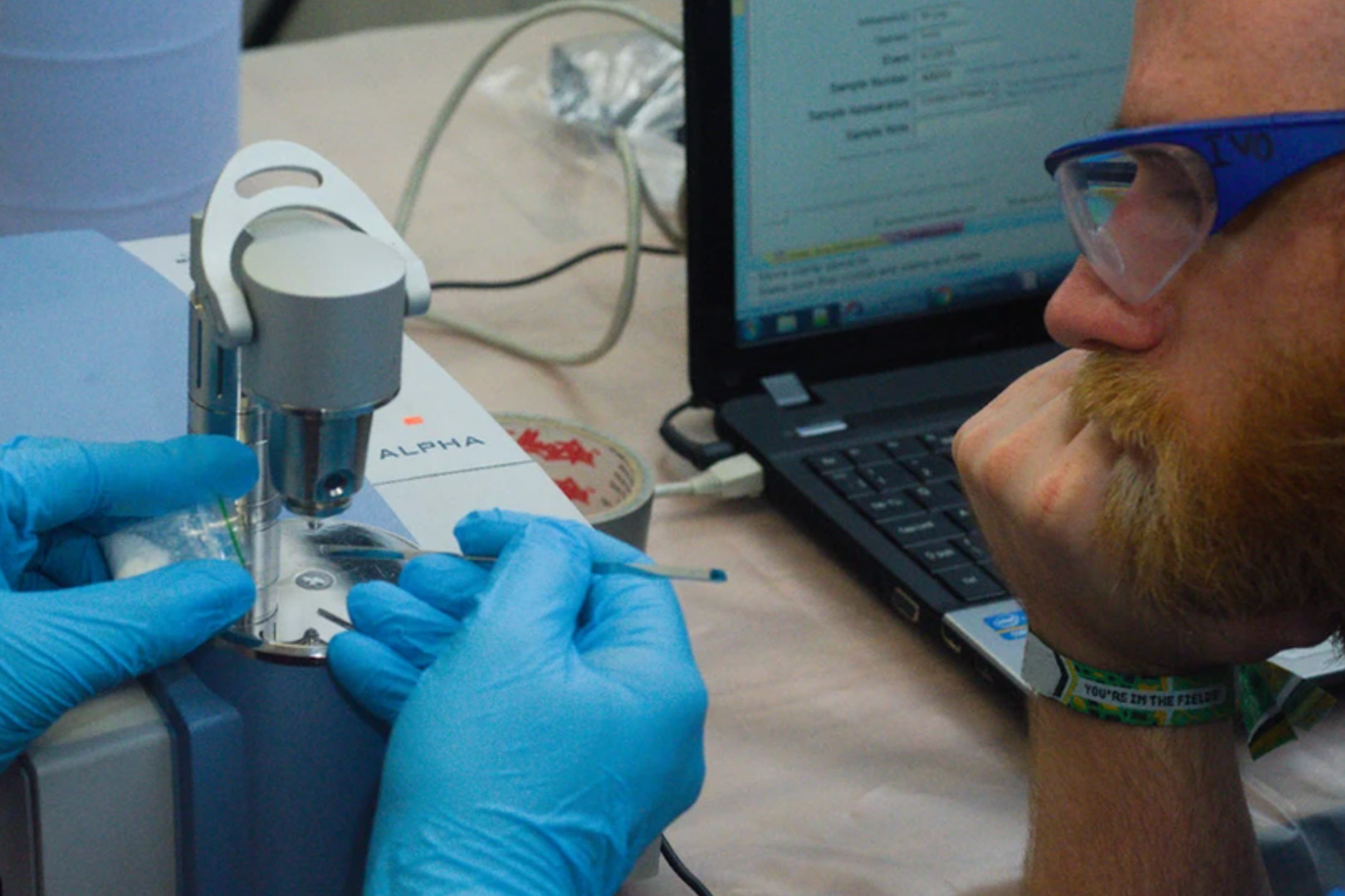 The Loop launch fundraising campaign to set up new mobile drug testing ...
