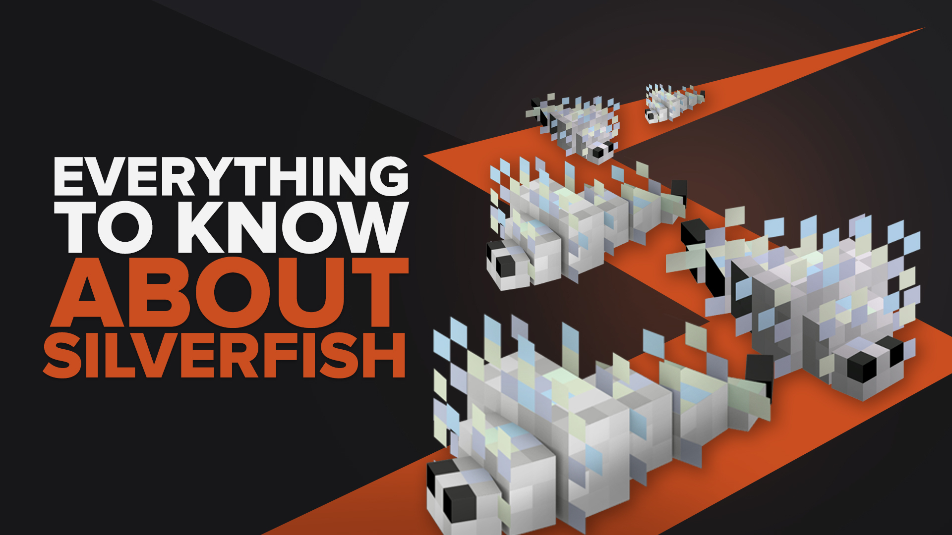 Everything You Need To Know About Silverfish