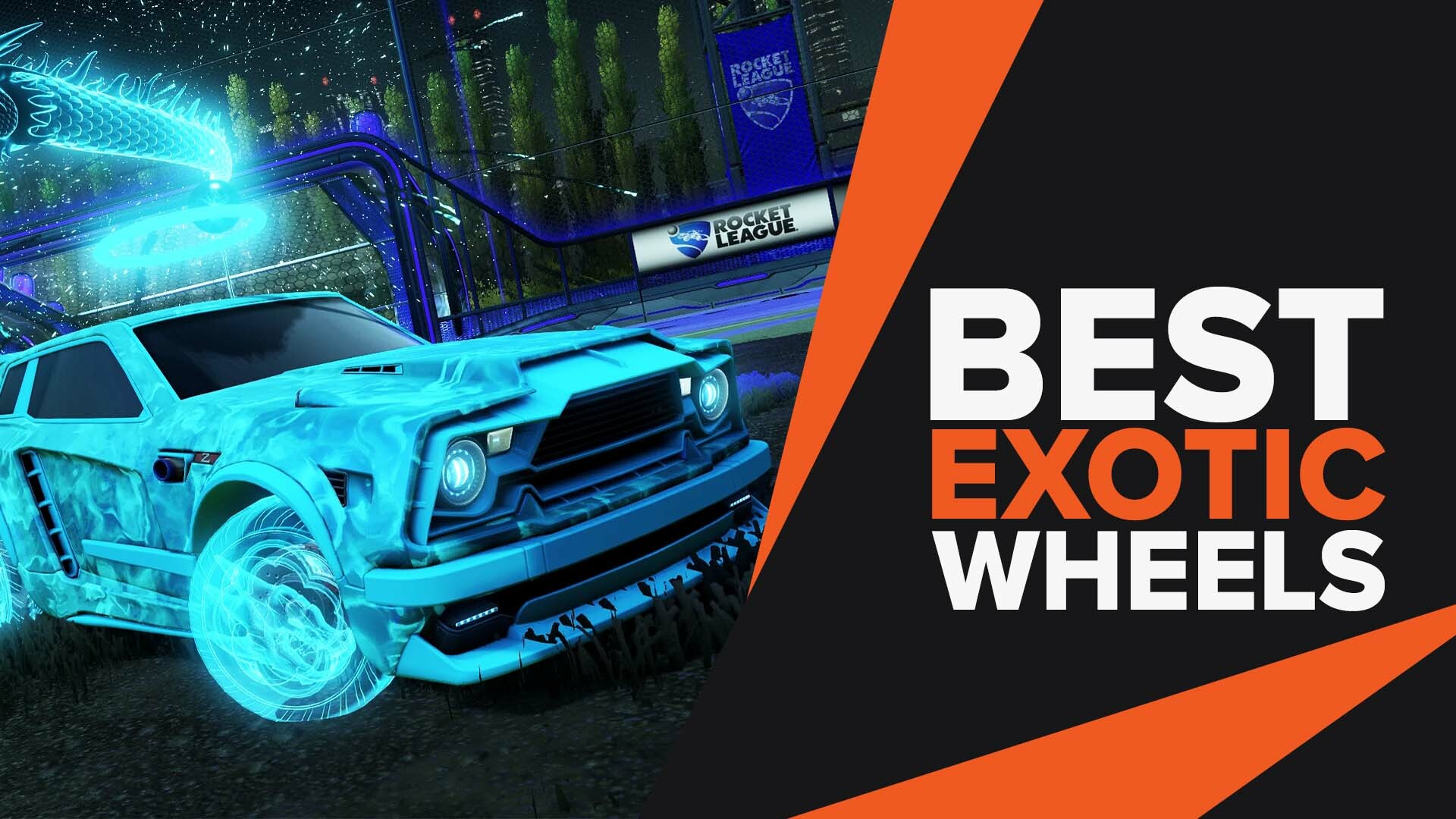The Best Exotic Wheels that will make you stand out in front of your…
