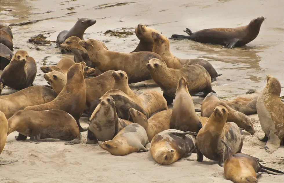 Frommers | The Best U.S. National Parks to Visit in Summer