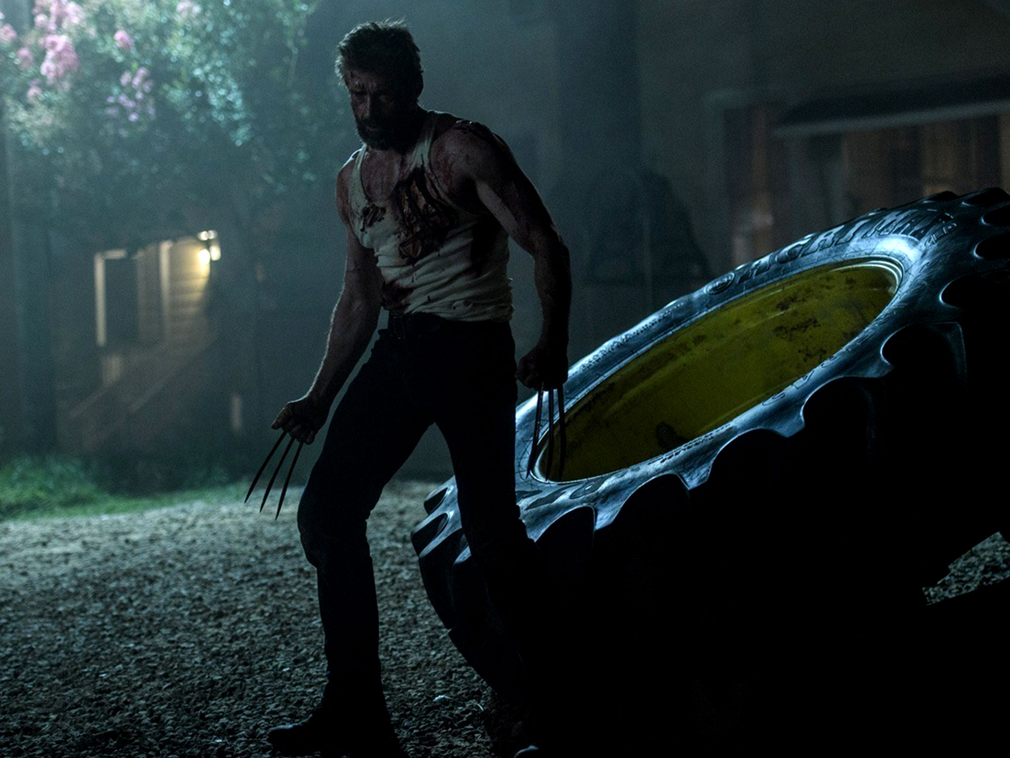 Logan | Little White Lies