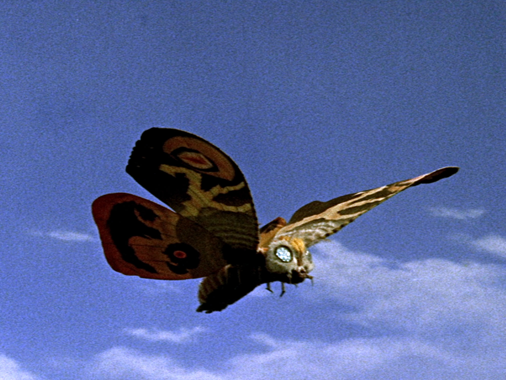 How Mothra introduced a new breed of kaiju… | Little White Lies