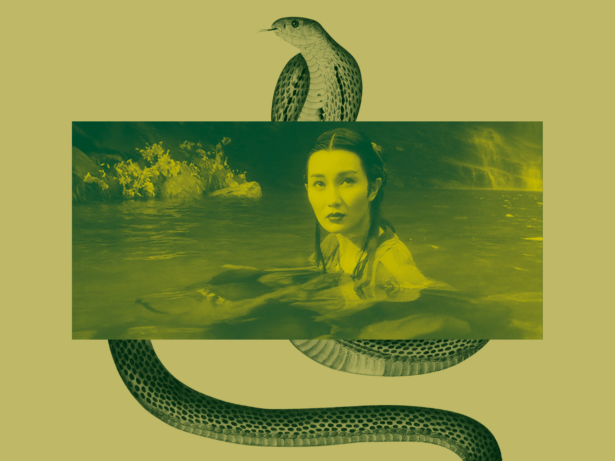 Green Snake and the search for belonging in a… | Little White Lies