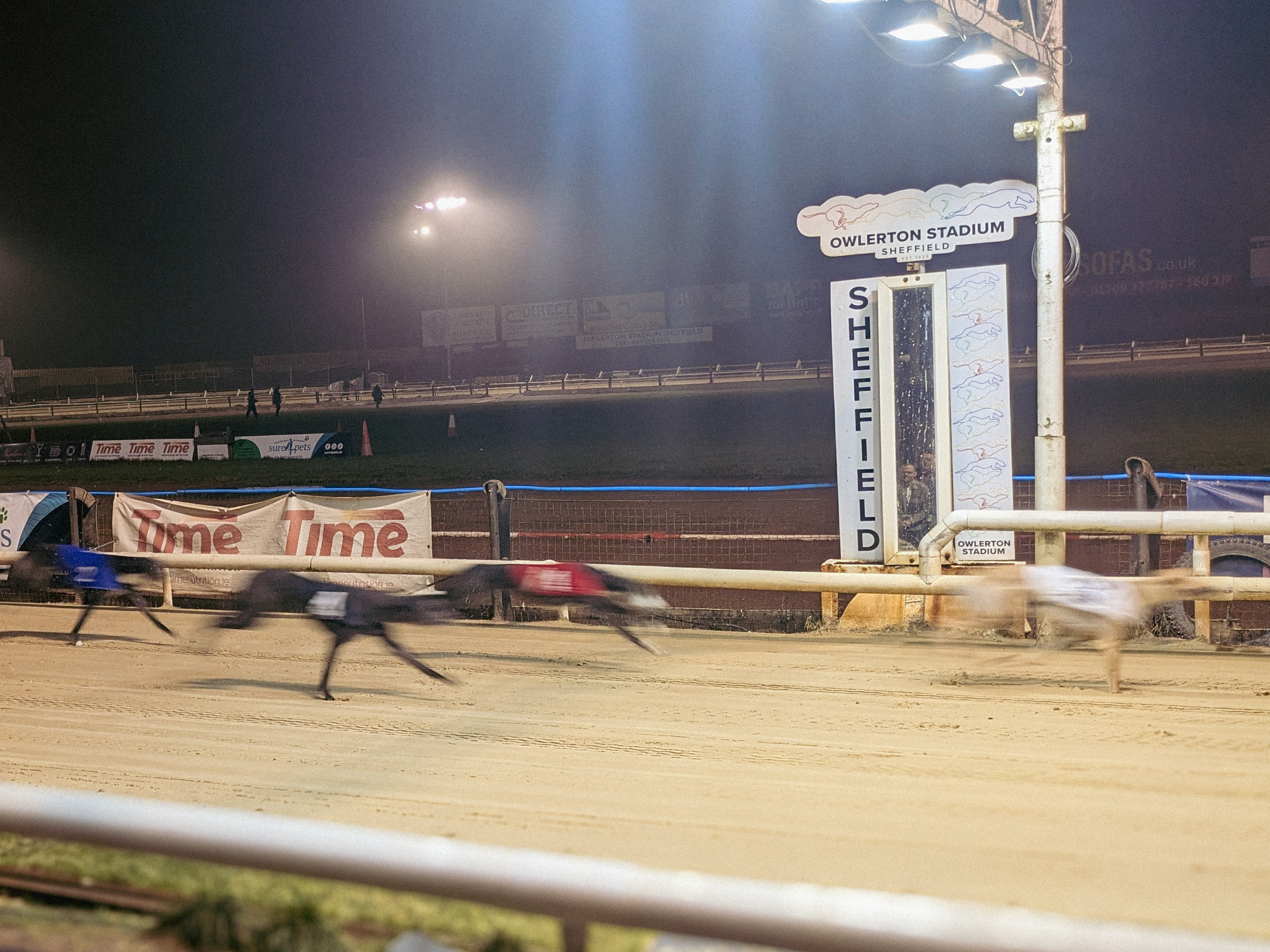 The future of greyhound racing is murky. Can it survive? | Huck