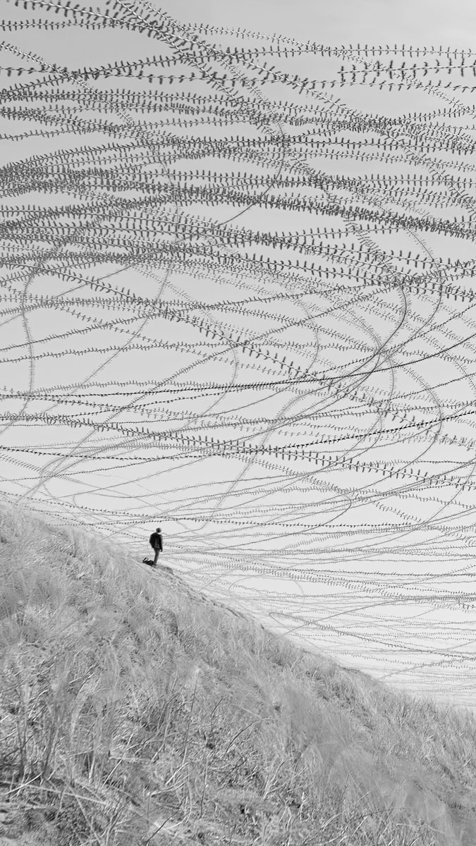 Capturing the organic beauty of birds in flight | Huck