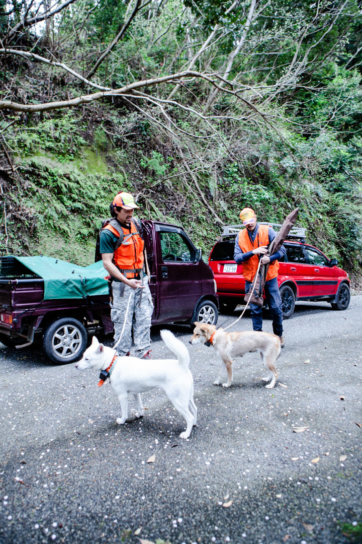 In photos: Ghost houses and wild boar hunting in back-to-the… | Huck