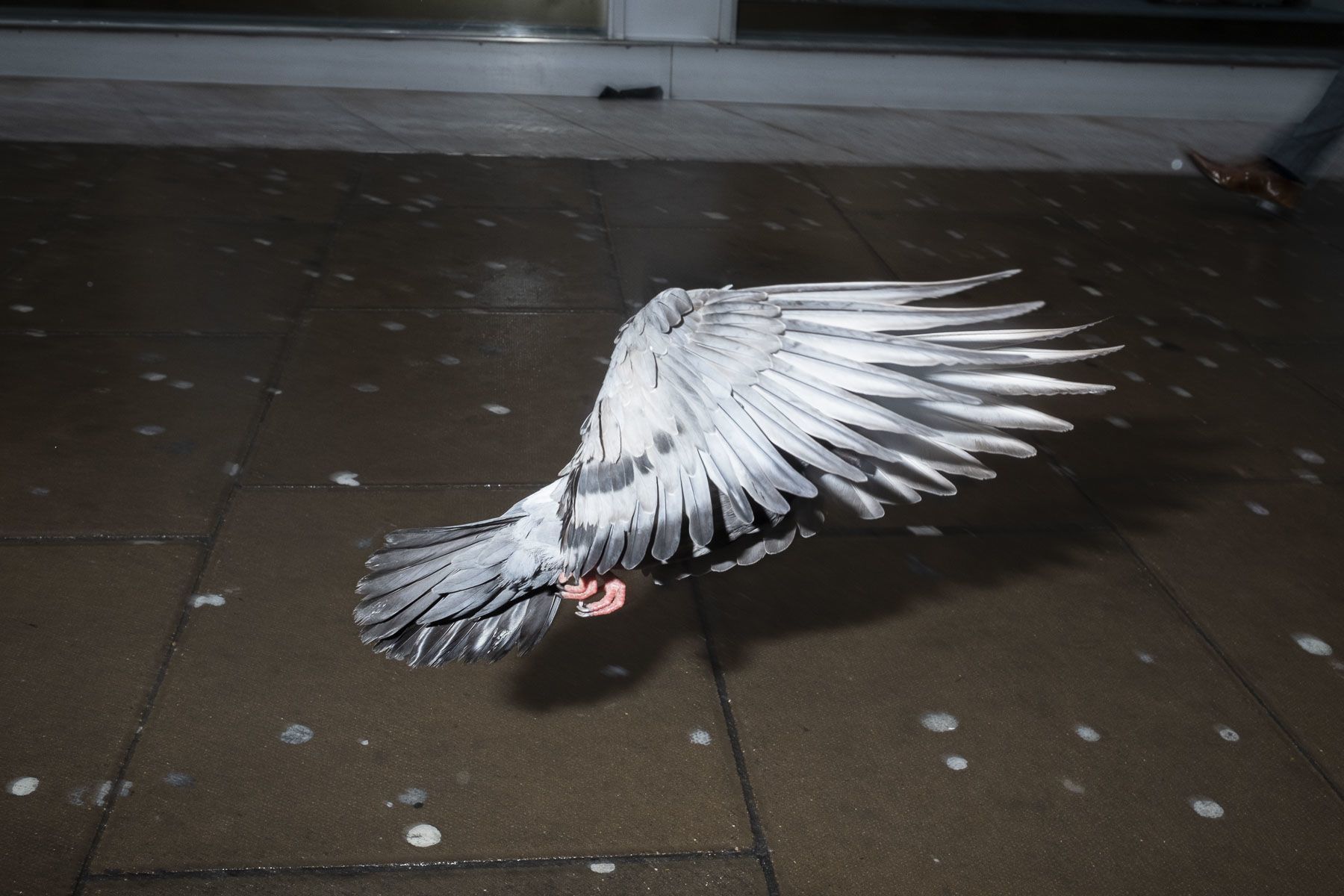 The Existential Guide To Street Photography | Huck