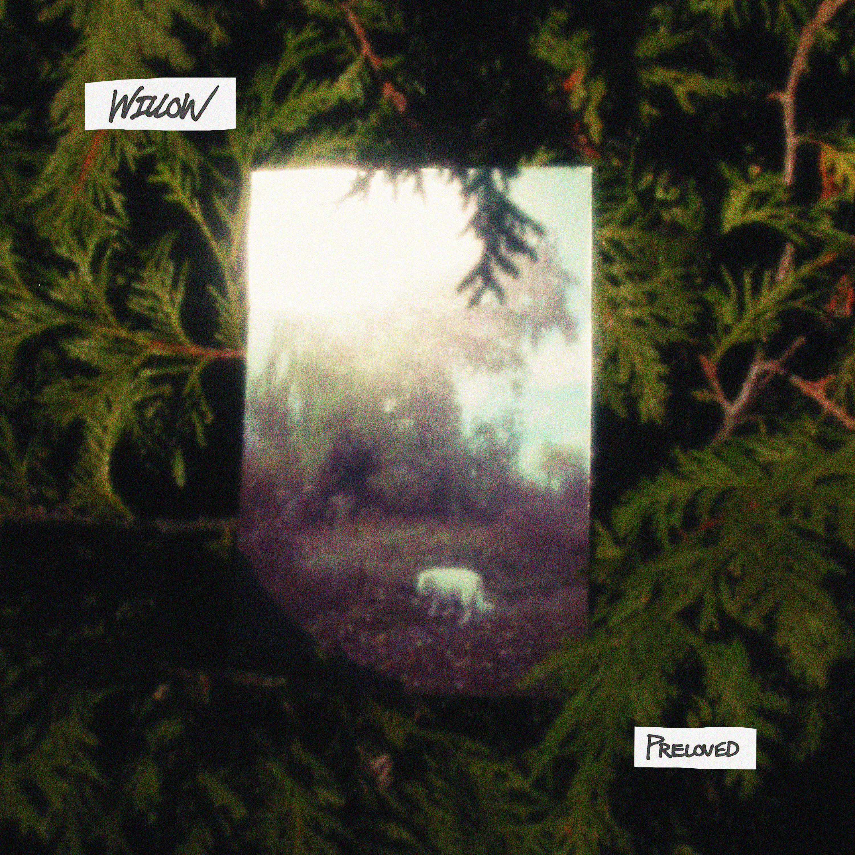 Preloved announces debut album Willow with lead single “Motorcycle ...