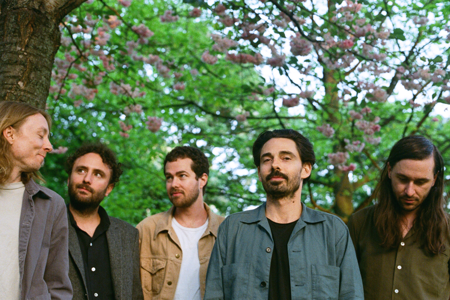 Five Minutes with Local Natives | The Line of Best Fit
