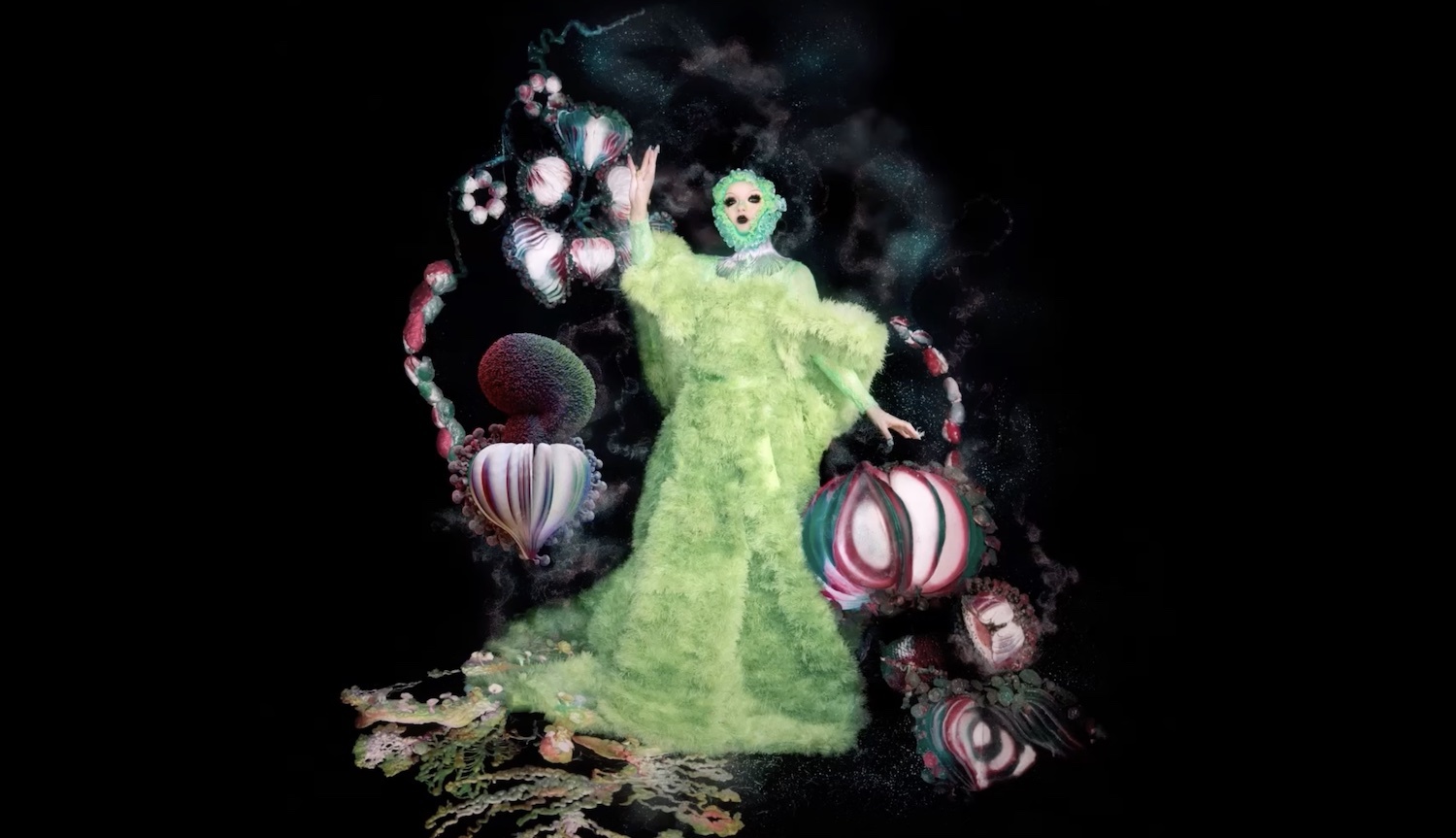 Björk reveals tracklist, artwork and release date for new album fossora ...