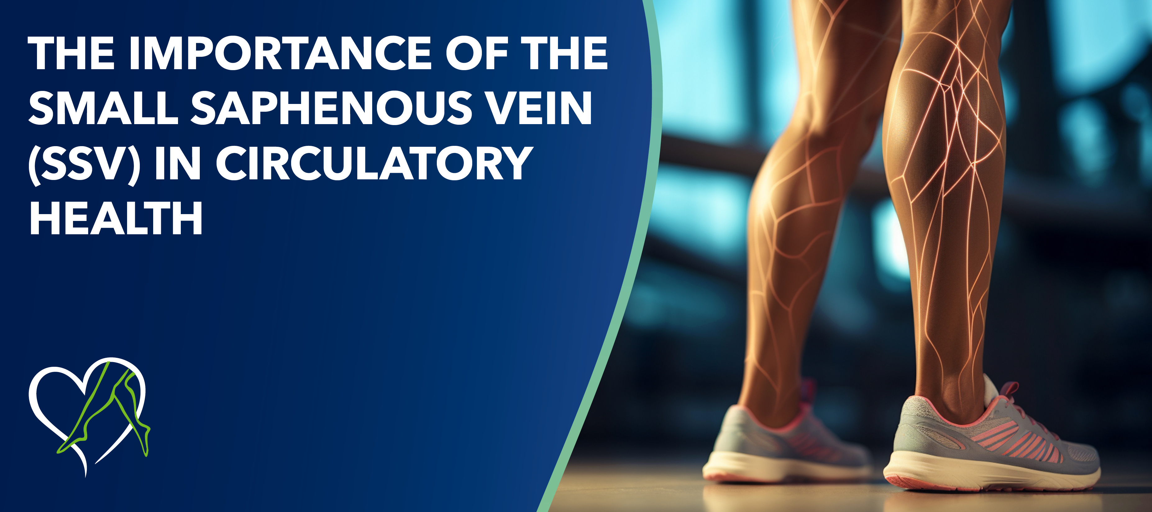 The Importance of the Small Saphenous (SSV) Vein in Circulatory Health