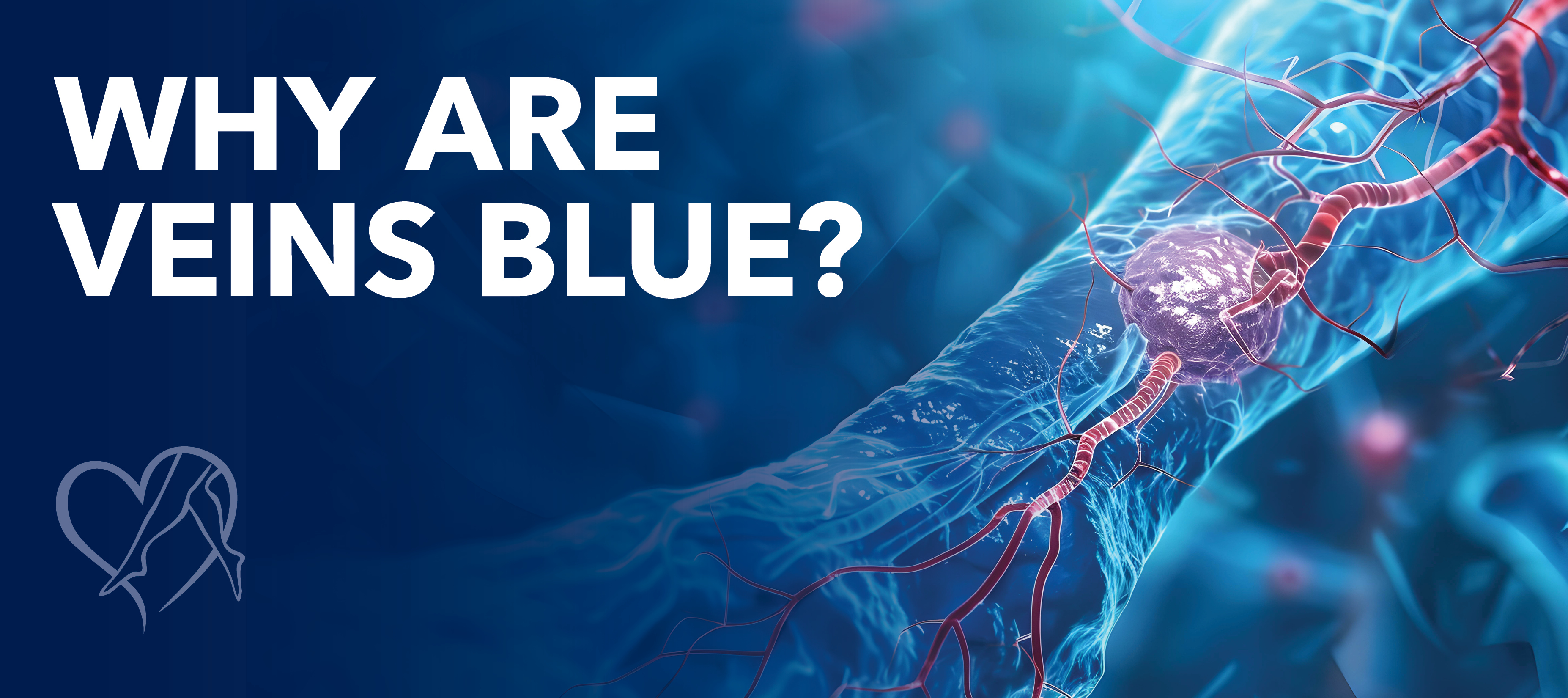 Why Are Veins Blue?