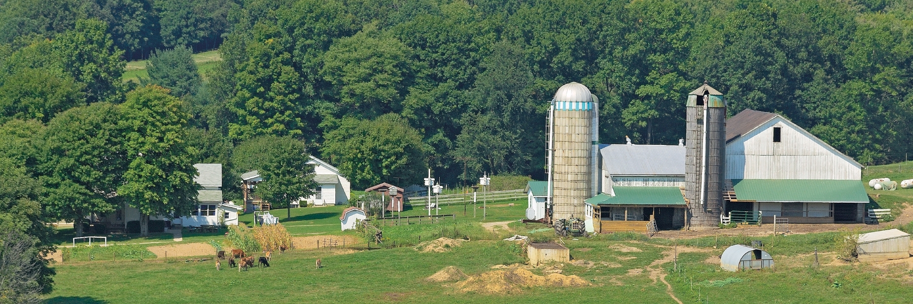 Fresno | Ohio's Amish Country